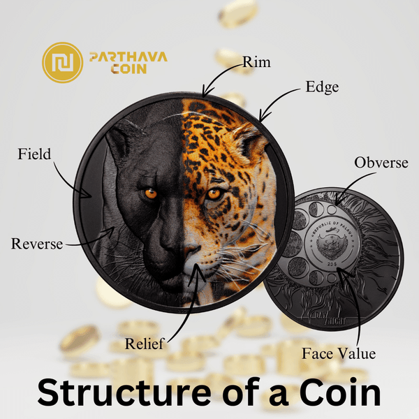 Structure of a Coin