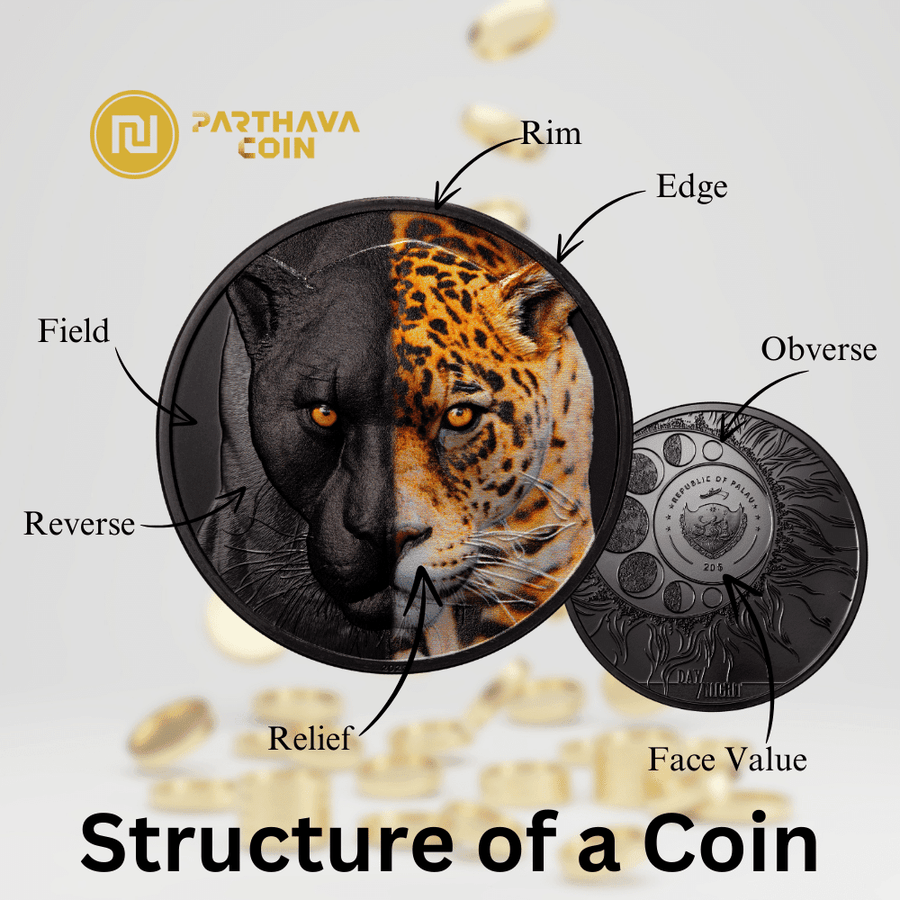 Structure of a Coin