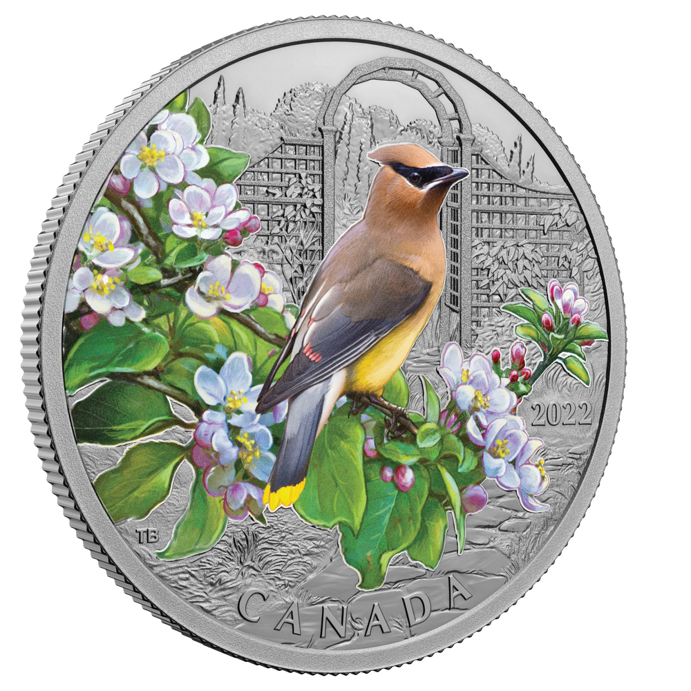CEDAR WAXWING Colourful Birds 1 Oz Silver Coin $20 Canada 2022 - Royal ...