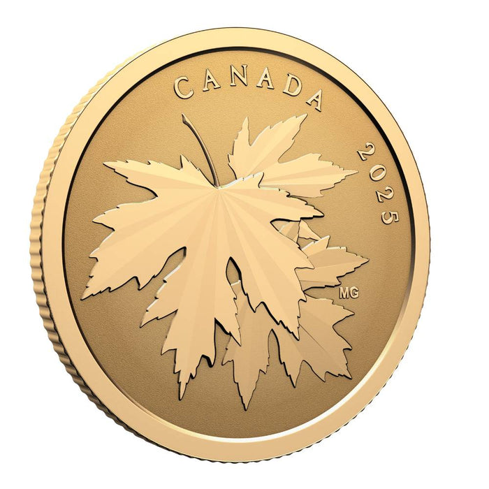 Gleaming Maple Leaves 1/4 Oz Pure Gold Coin 2025 Canada - Royal ...