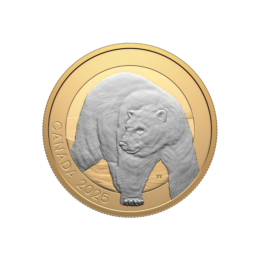 Animal Portraits Polar Bear 1 Oz Fine Silver Coin Canada 2025 - Royal ...