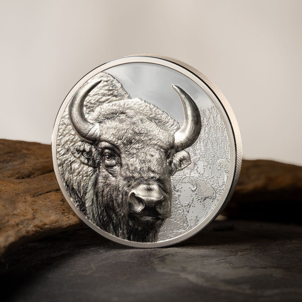Bison Wild Mongolia 3 Oz Silver Coin 2025 - CIT Coin Invest AG