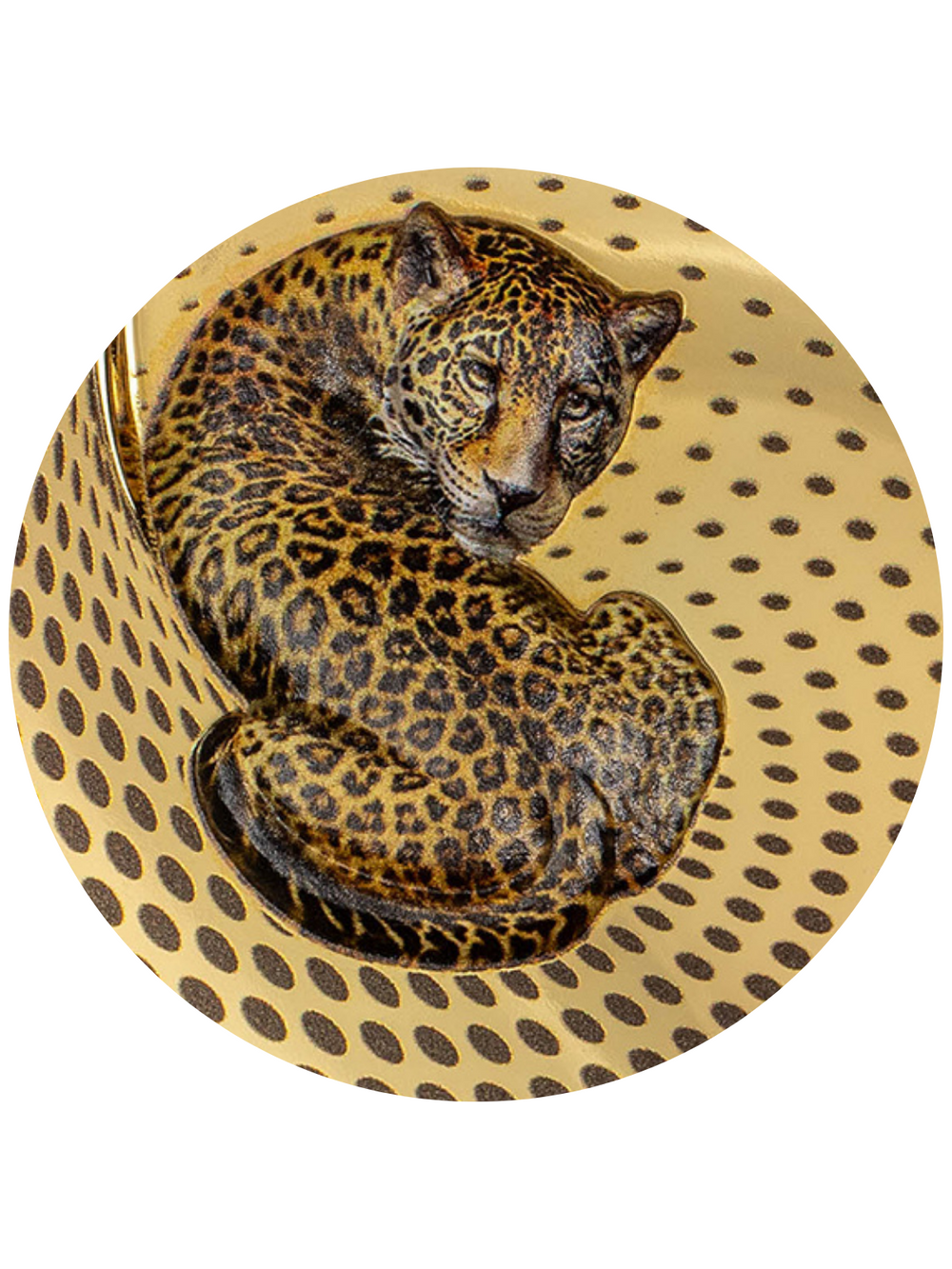 LEOPARD Camouflage of Nature Gilded 5 Oz Silver Coin $20 Palau 2024 ...