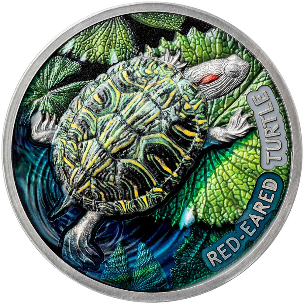 RED EARED TURTLE 2 Oz Silver Coin $2 Niue 2024 - Mint XXI