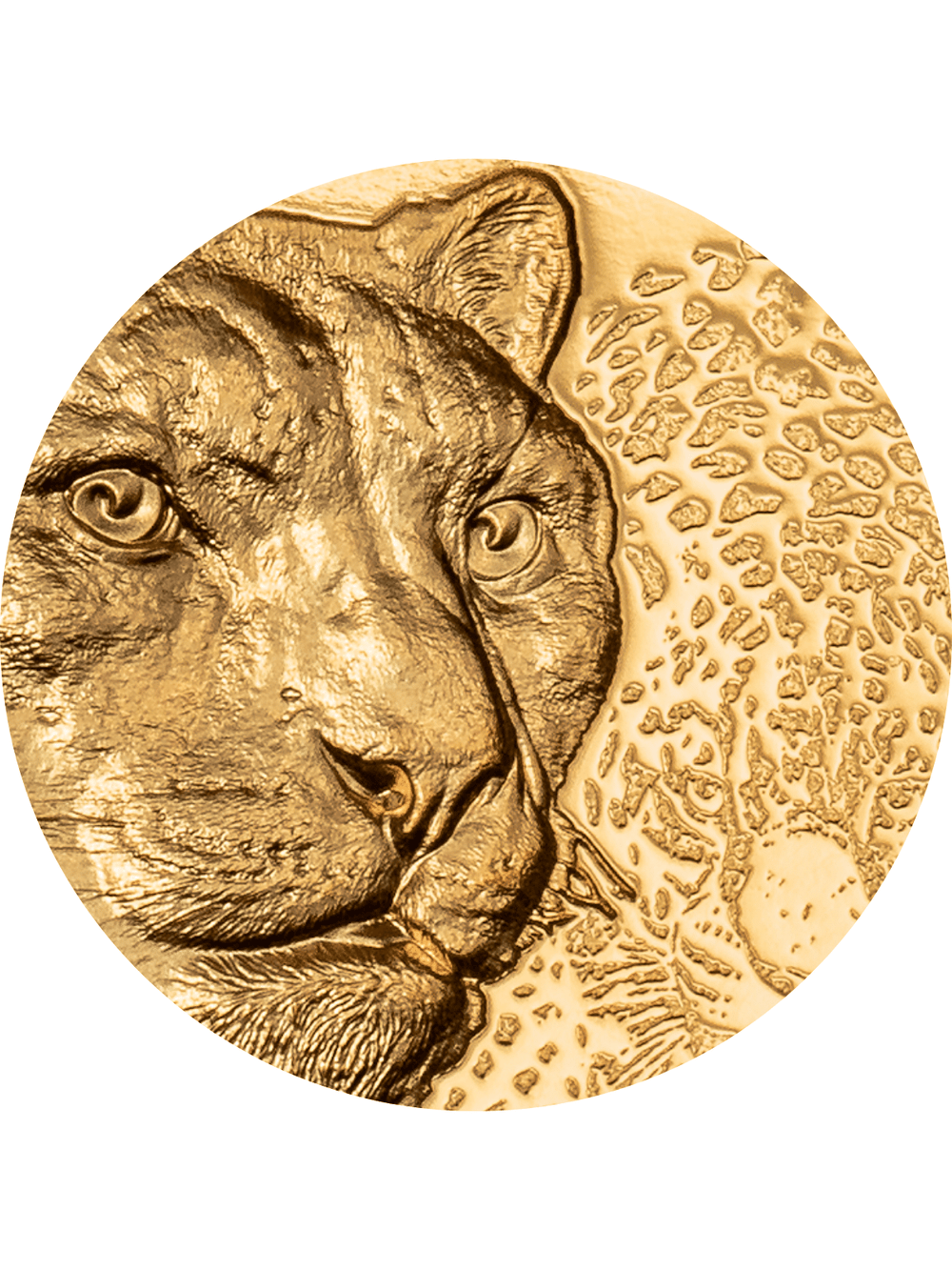 Snow Leopard Wild Mongolia 1/10 Oz Gold Coin 2024 - CIT Coin Invest AG