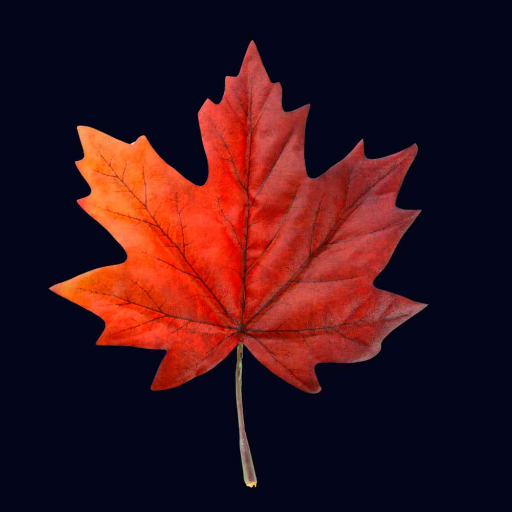 DOCTOR OCTOPUS Spiderman Villains 1 Oz Silver Coin $2 Niue 2024 - Agoro ...