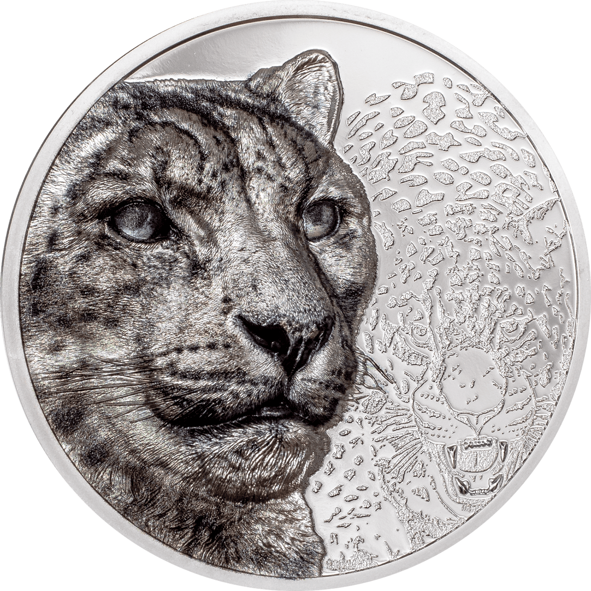Snow Leopard Wild Mongolia 3 Oz Silver Coin 2024 - CIT Coin Invest AG