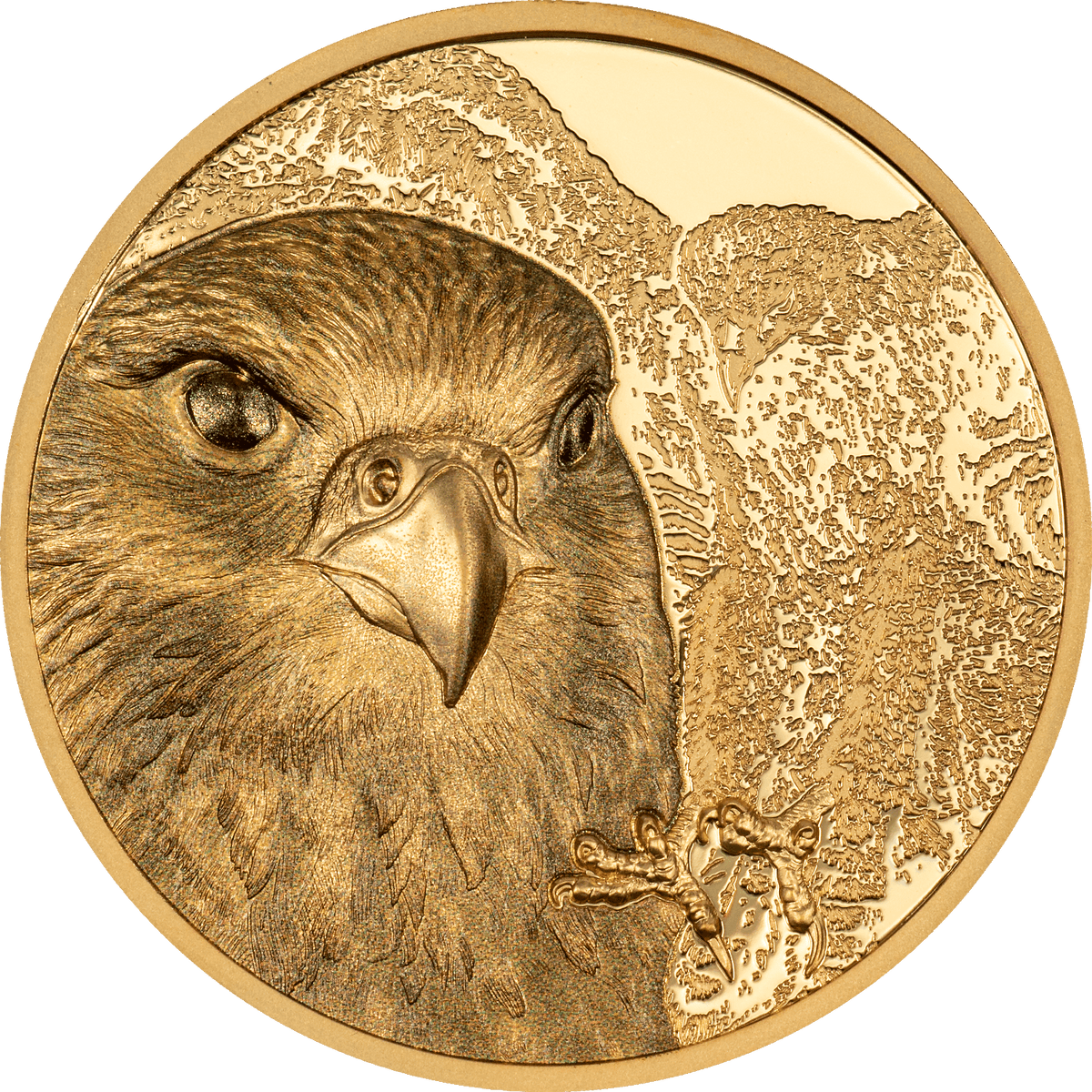 Falcon Wild Mongolia 1 Oz Gold Coin 2023 - CIT Coin Invest AG
